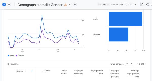 GA4 Demographics Report – Understand and Target Visitors